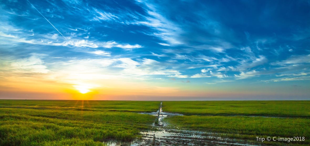 Chongming Island, Changxing Island, Hengsha Island 2022 Top Things to ...