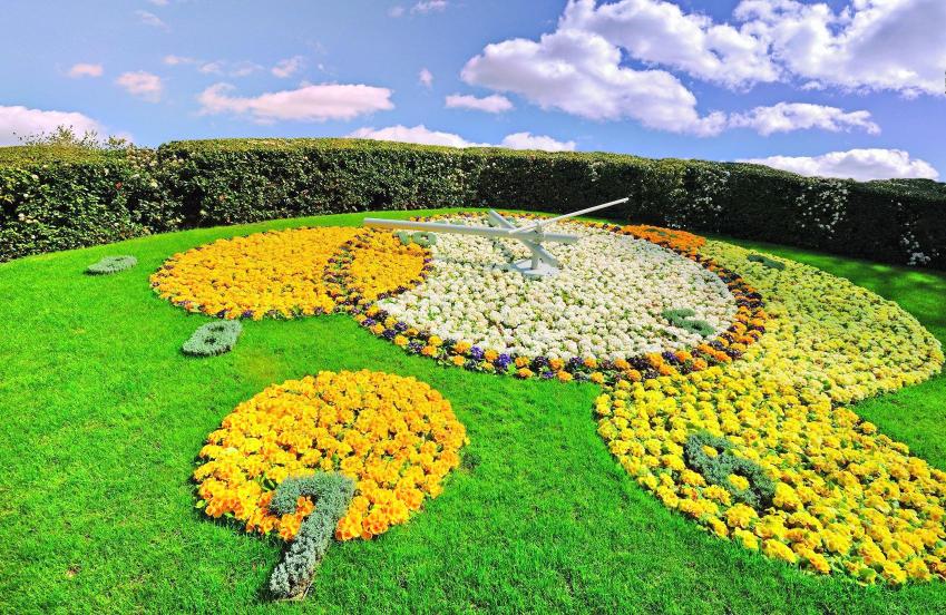 10 Day in Geneva: What to Do and See in Geneva - Trip.com