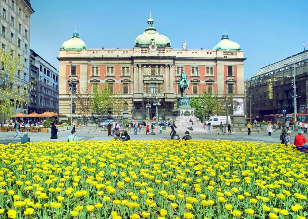 National Flower Of Serbia | Best Flower Site