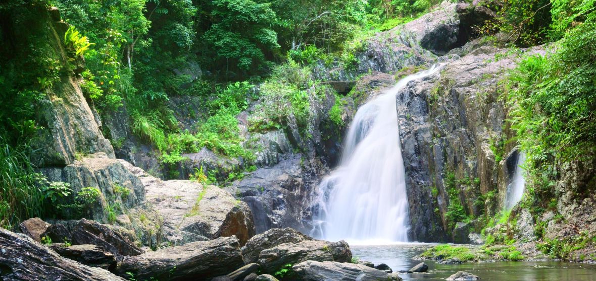 Redlynch Travel Guide 2023 - Things to Do, What To Eat & Tips | Trip.com