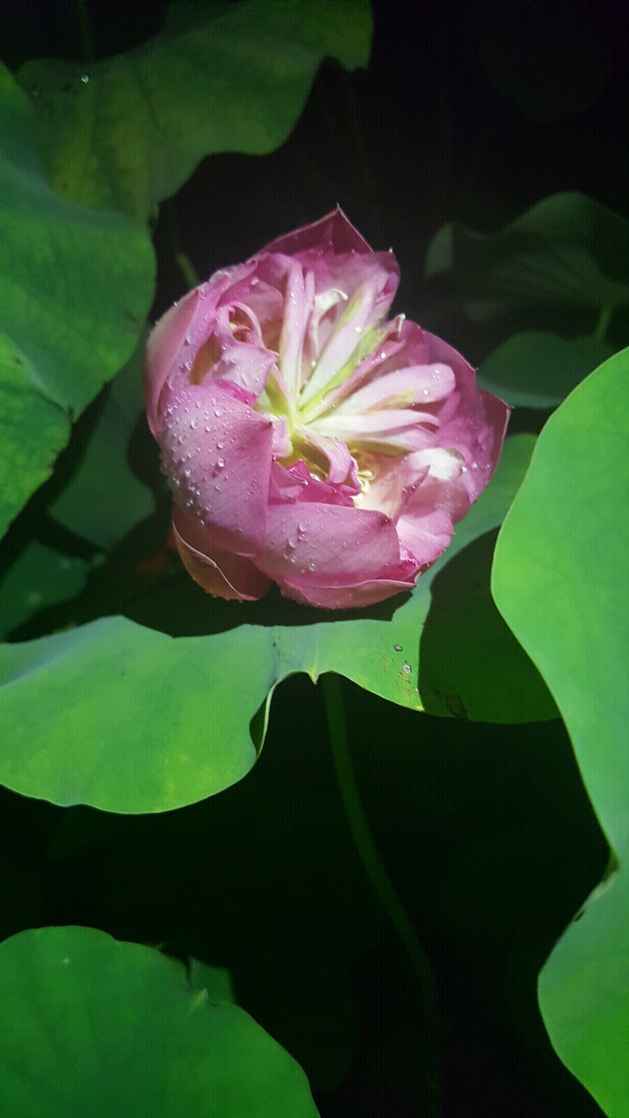 Yuci District 2022 Top Things to Do - Yuci District Travel Guides - Top ...