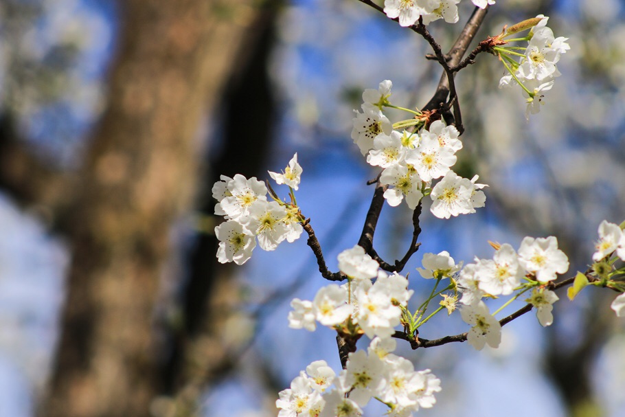 Jinchuan 2022 Top Things to Do - Jinchuan Travel Guides - Top ...