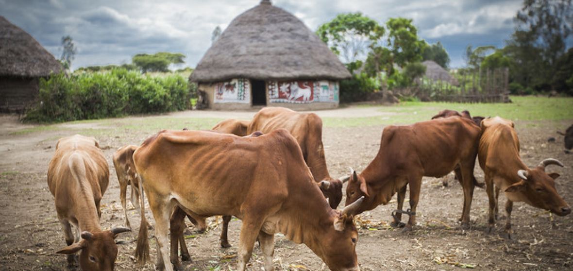 West Shewa Travel Guide 2023 - Things to Do, What To Eat & Tips | Trip.com