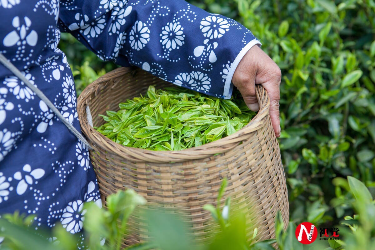 Longnan 2022 Top Things to Do - Longnan Travel Guides - Top Recommended ...