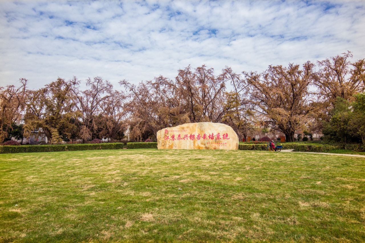 Taixing 2022 Top Things to Do - Taixing Travel Guides - Top Recommended ...