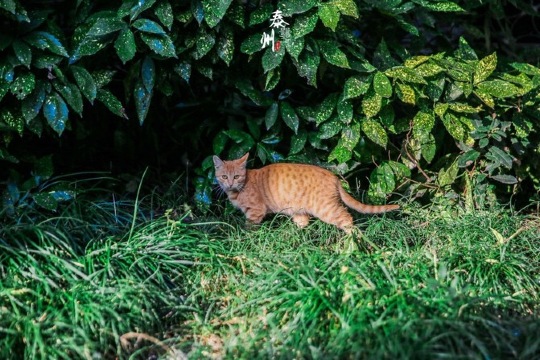 Taixing 2022 Top Things to Do - Taixing Travel Guides - Top Recommended ...