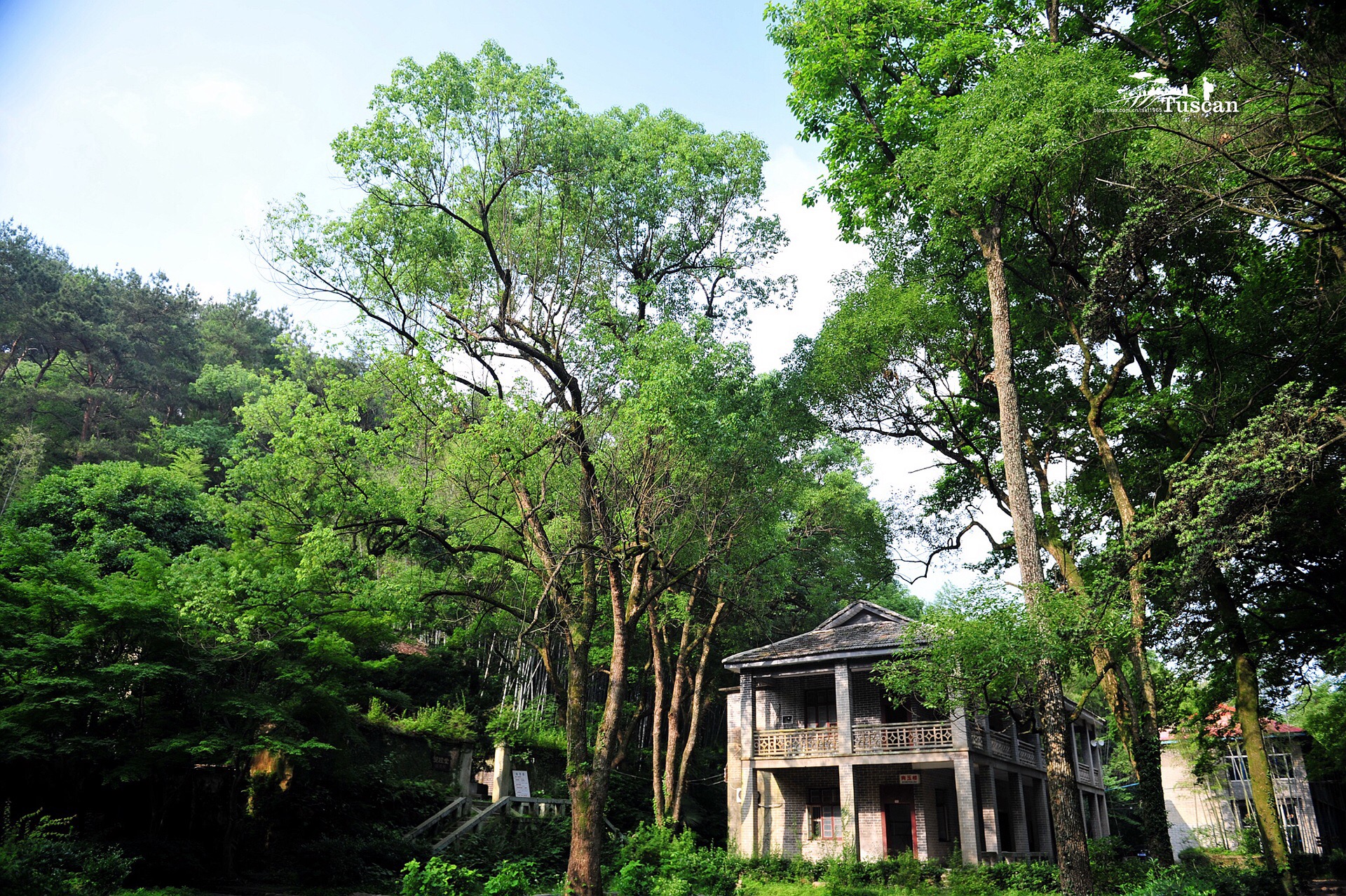 Lushan 2022 Top Things to Do - Lushan Travel Guides - Top Recommended ...