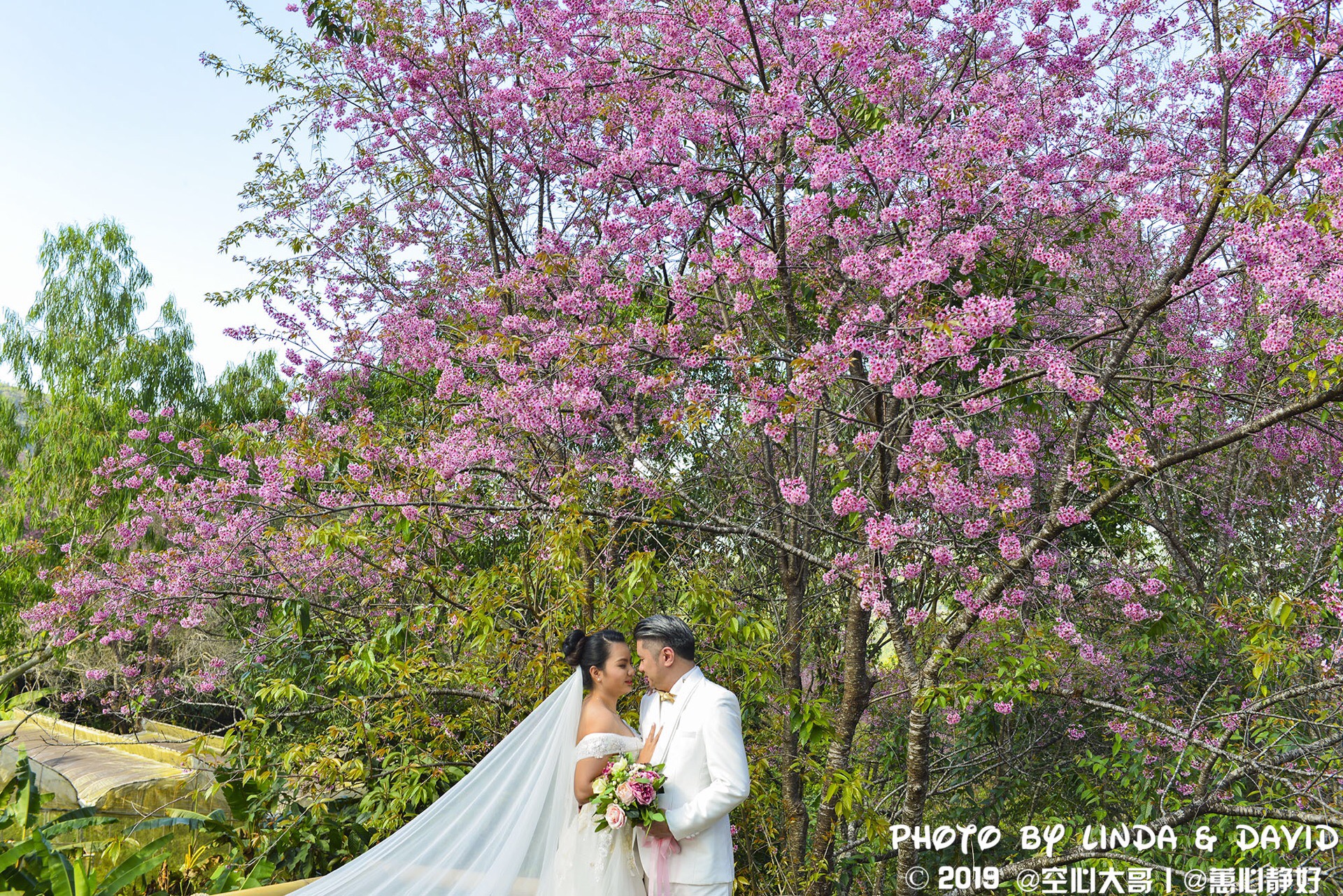 Mae Wang District 2022 Top Things to Do - Mae Wang District Travel ...