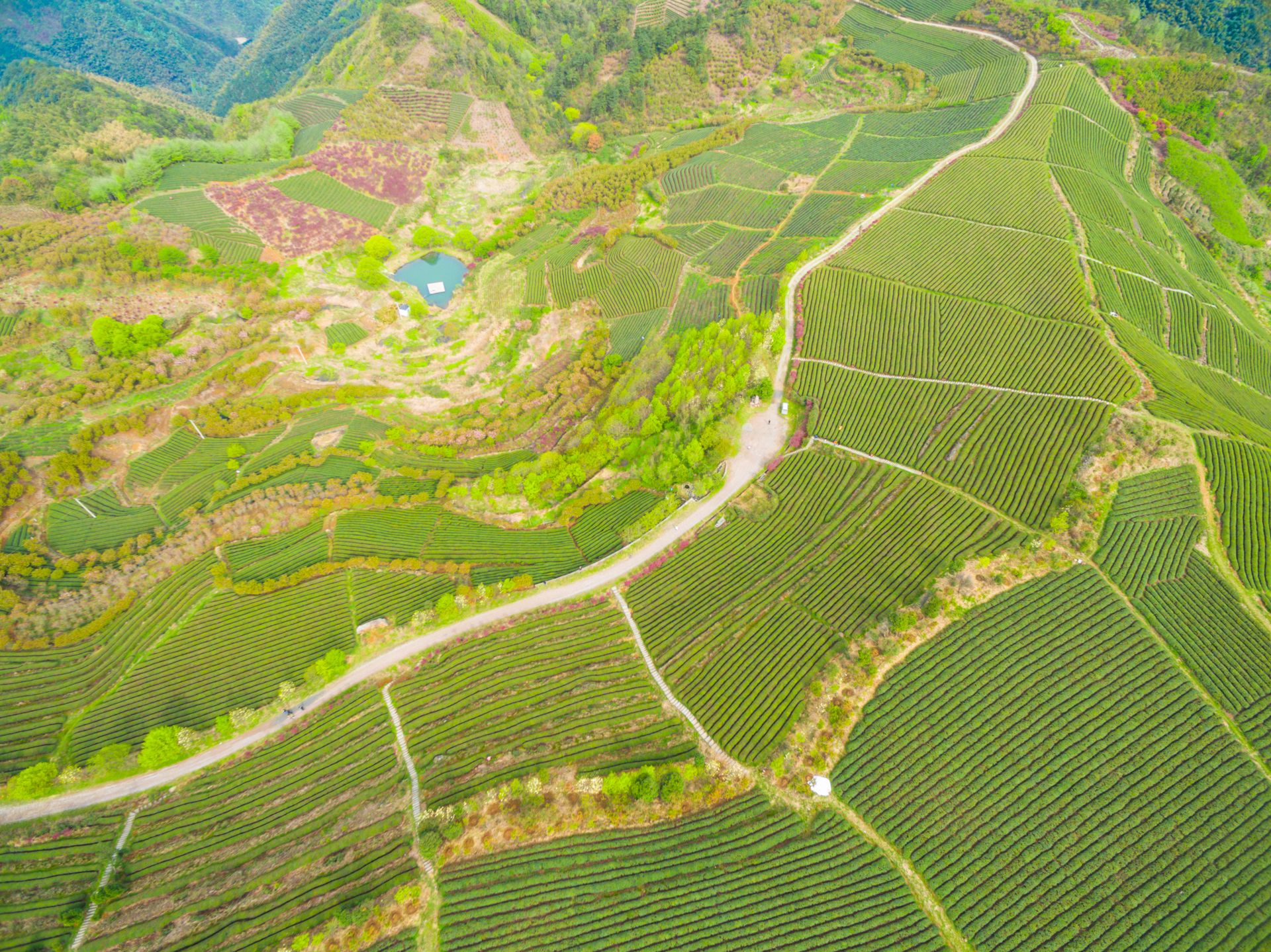 7 Days in Yuyao: What to Do and See in Yuyao - Trip.com