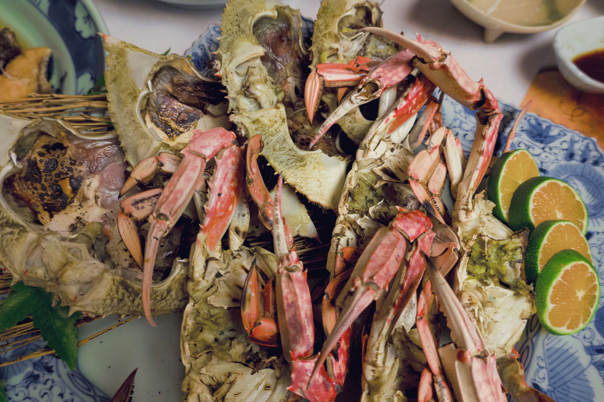 Tara 2022 Top Things to Do - Tara Travel Guides - Top Recommended Tara ...