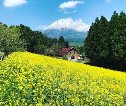 Travel 2 Days in Fujinomiya: Best Vacation Spots in Fujinomiya - Trip.com