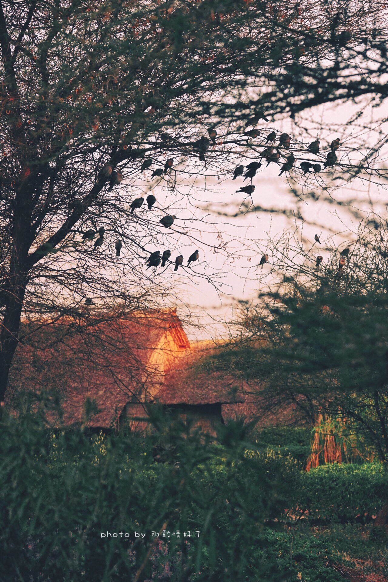 Kajiado 2022 Top Things to Do - Kajiado Travel Guides - Top Recommended ...