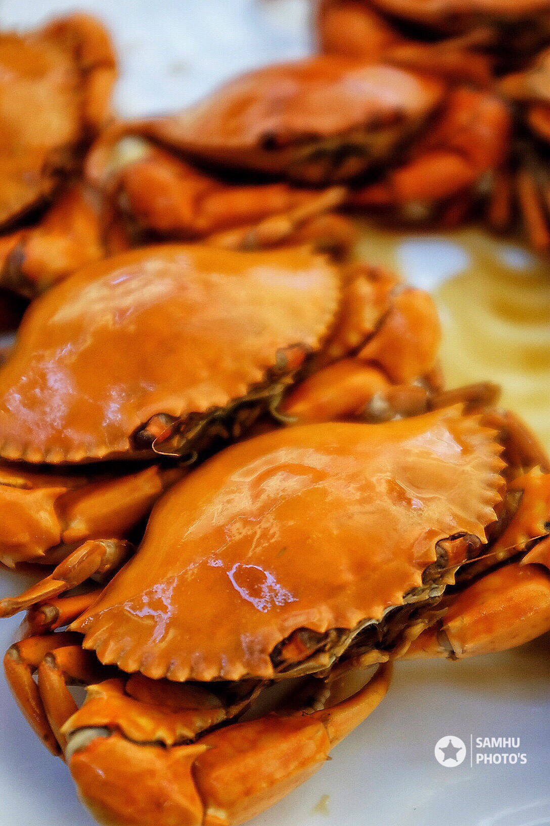 Shunde District 2022 Top Things to Do - Shunde District Travel Guides ...