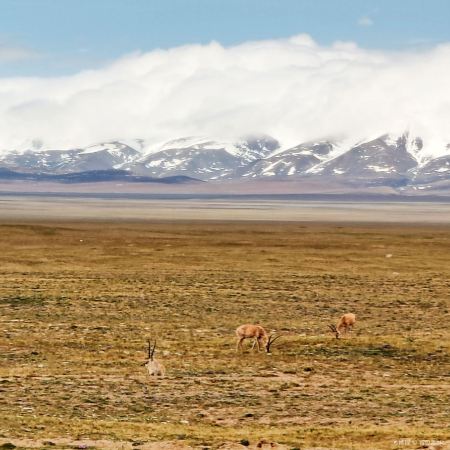 Golmud 2022 Top Things to Do - Golmud Travel Guides - Top Recommended ...