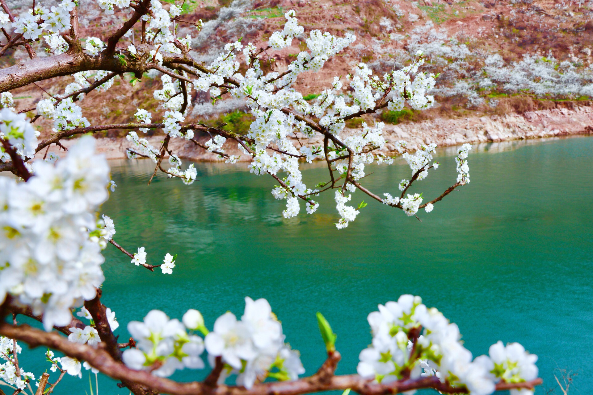 Wanzhou District 2022 Top Things to Do - Wanzhou District Travel Guides ...