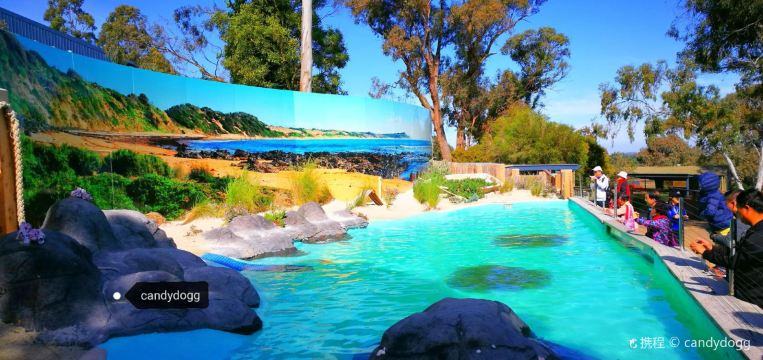 Ballarat Travel Guide 2023 - Things to Do, What To Eat & Tips | Trip.com