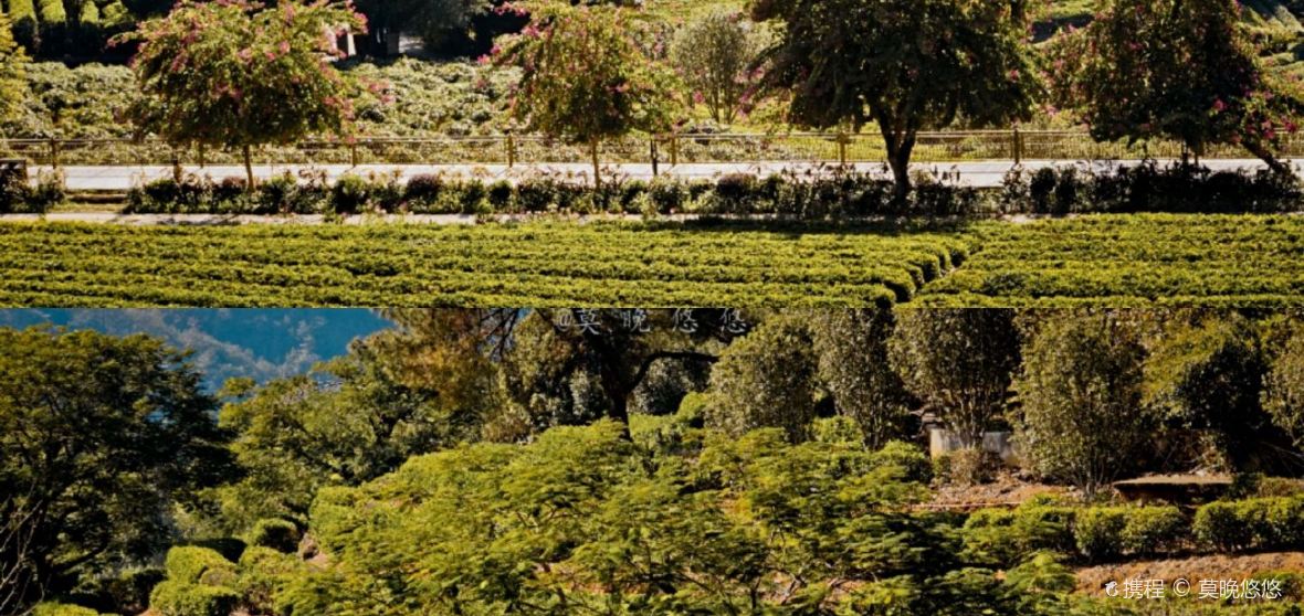 10 Best Things to do in Meixian District, Meizhou - Meixian District ...