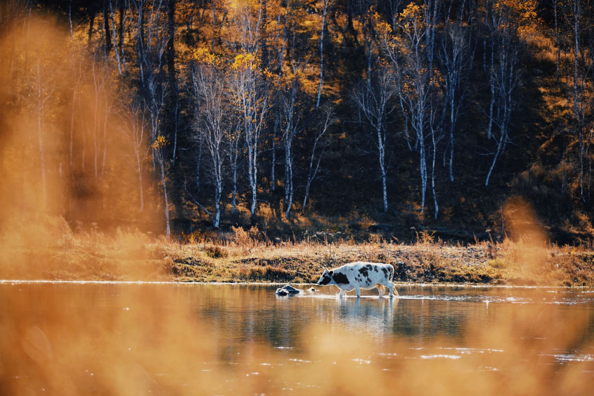 Aershan 2022 Top Things to Do - Aershan Travel Guides - Top Recommended ...