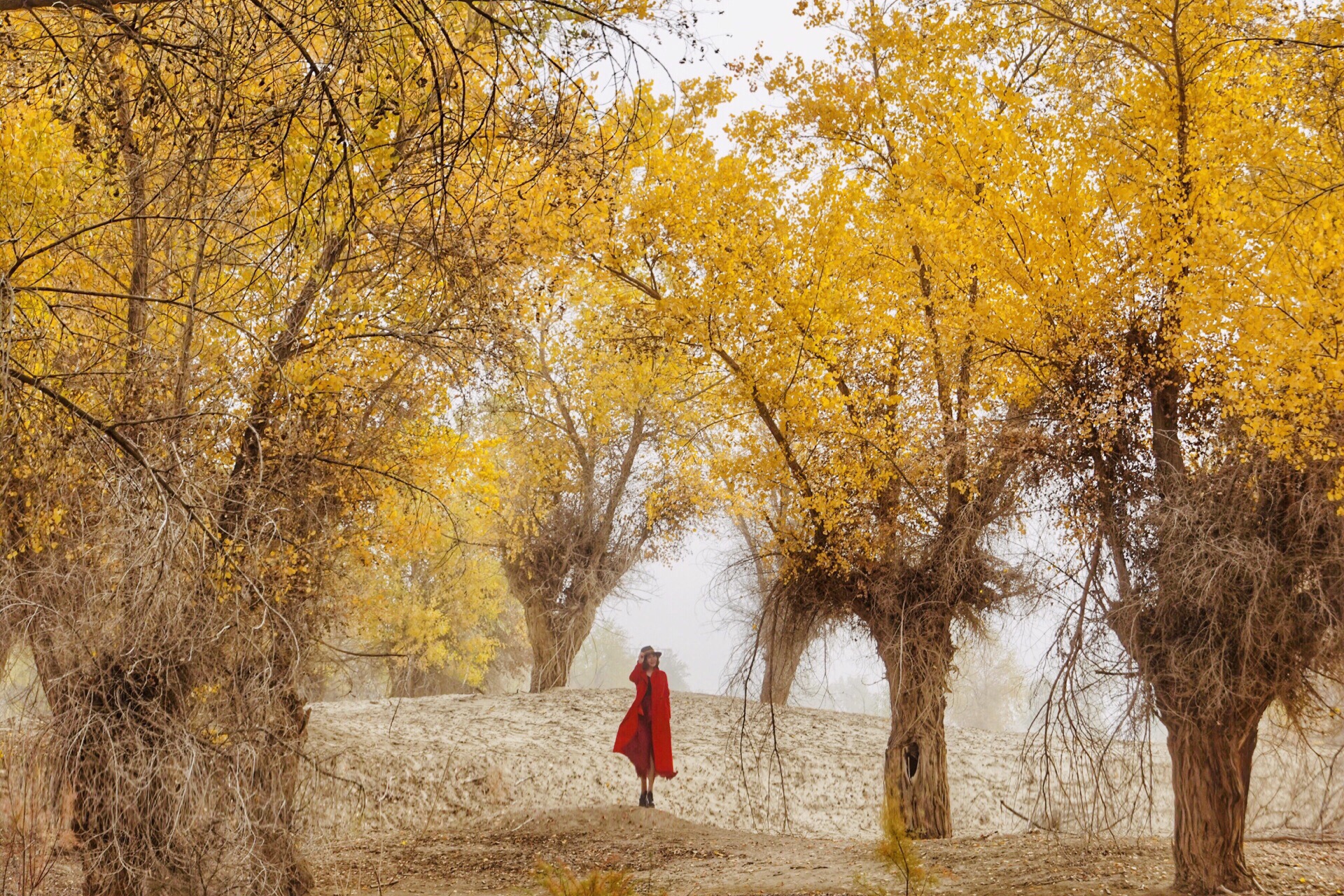 Aksu Prefecture 2022 Top Things to Do - Aksu Prefecture Travel Guides ...