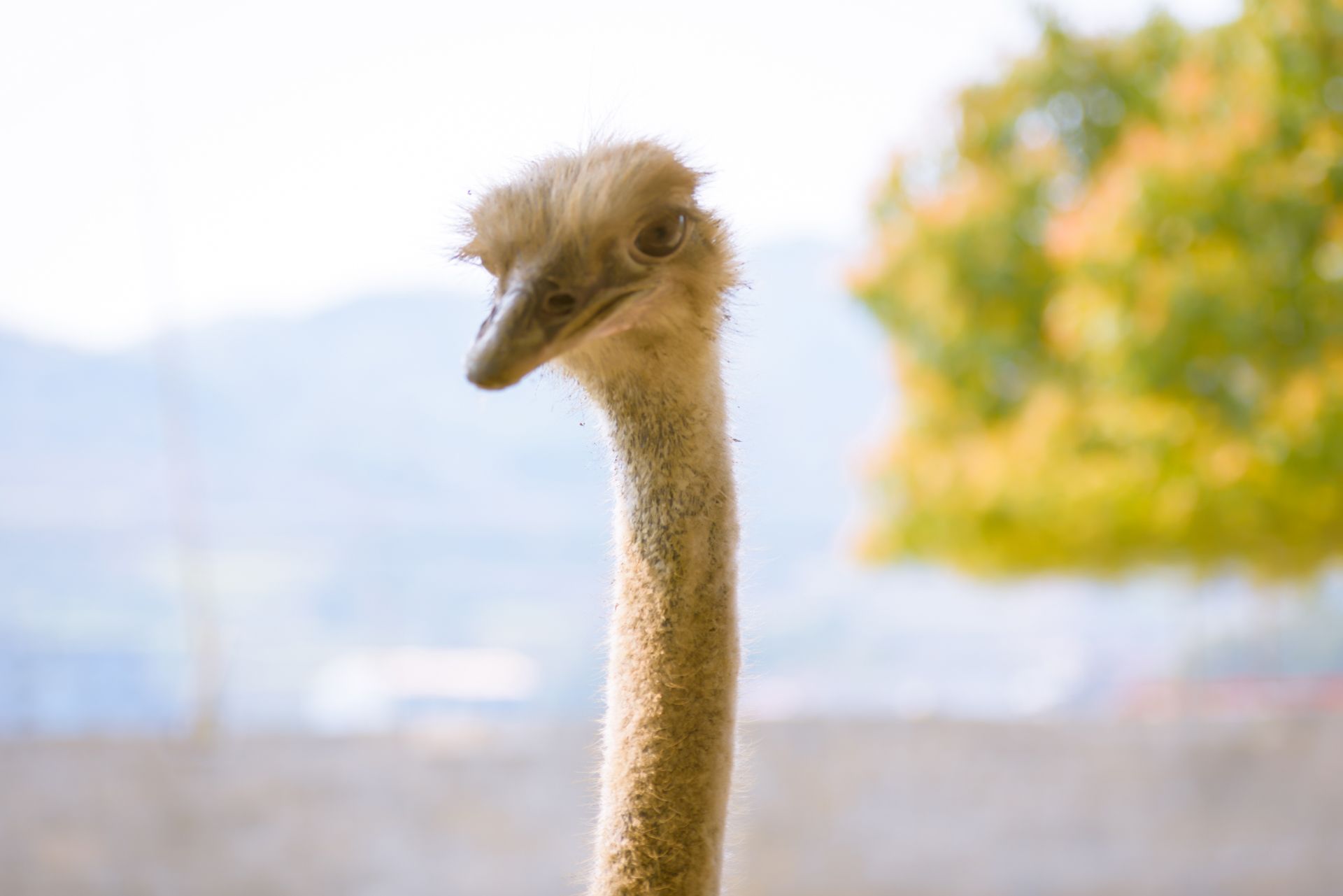 Sanmen 2022 Top Things to Do - Sanmen Travel Guides - Top Recommended ...