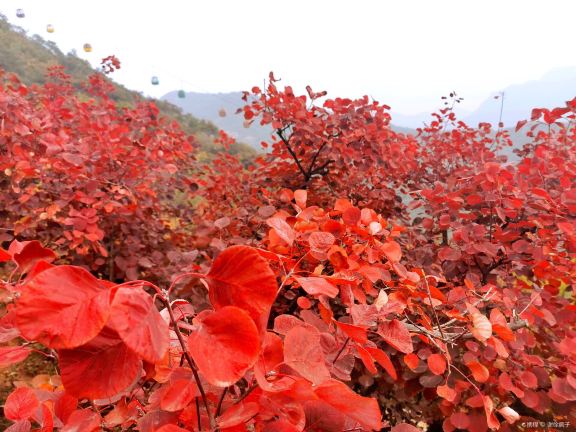 Fangshan District 2022 Top Things to Do - Fangshan District Travel ...