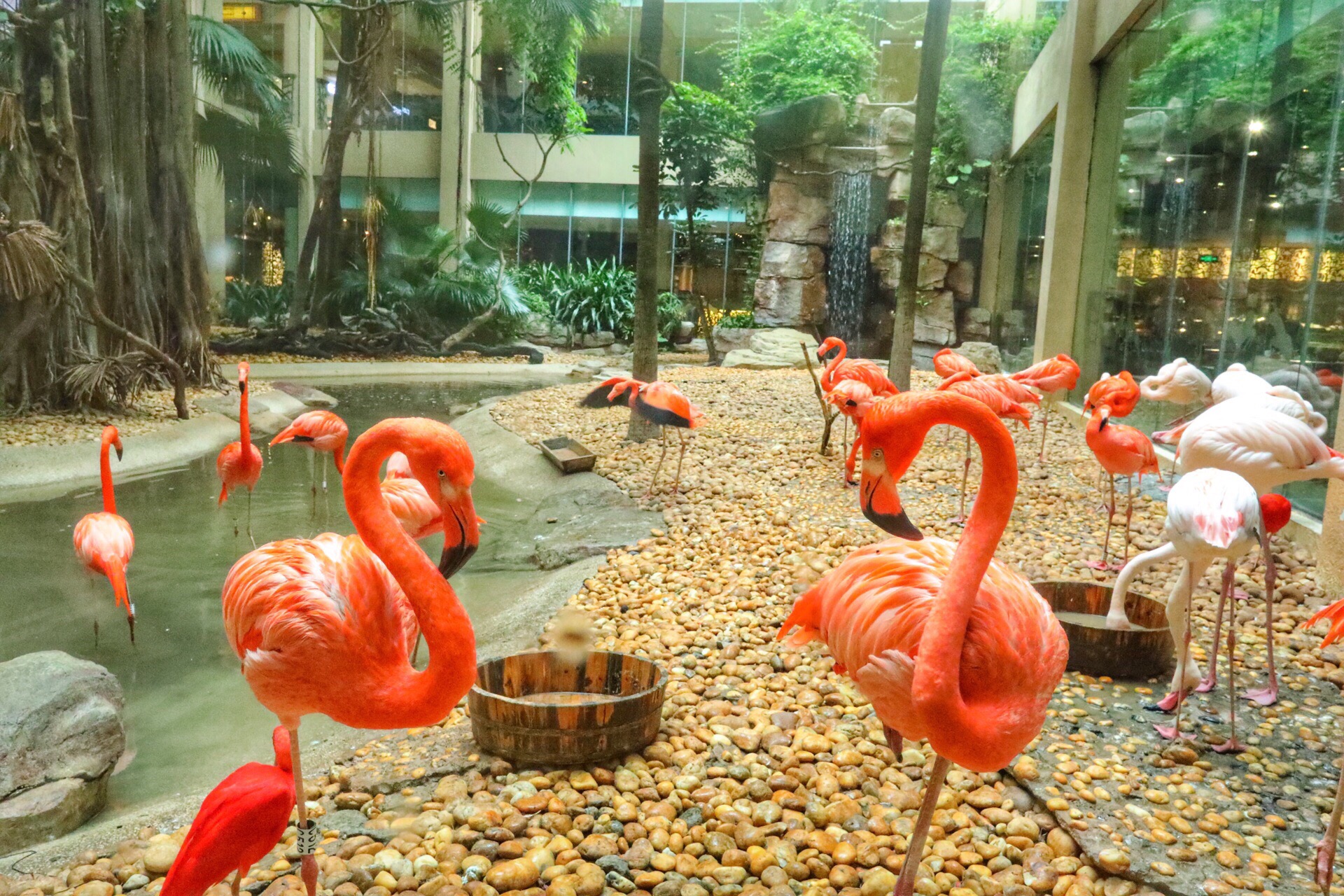 Panyu District 2022 Top Things to Do - Panyu District Travel Guides ...