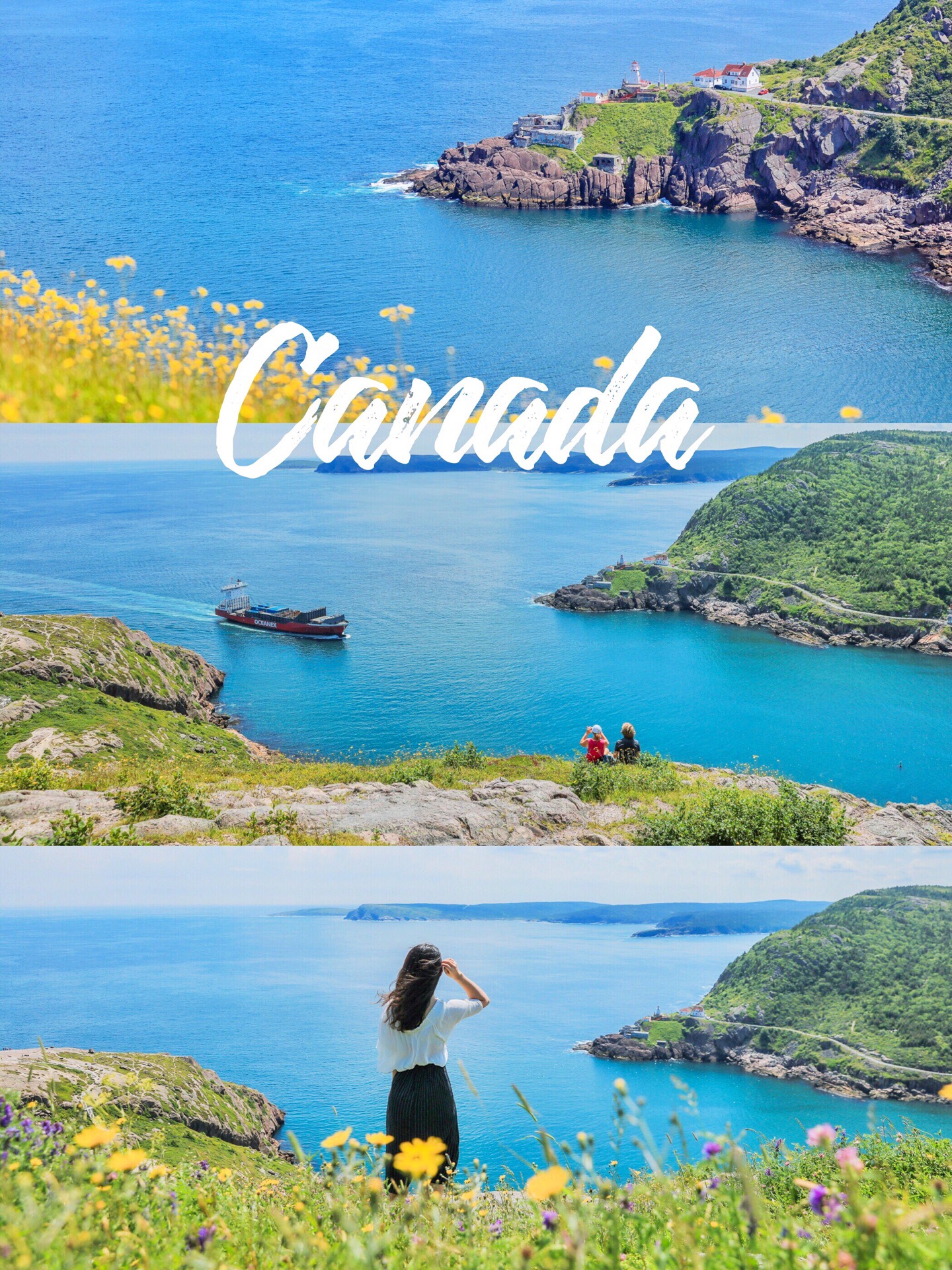 Newfoundland and Labrador 2022 Top Things to Do - Newfoundland and ...