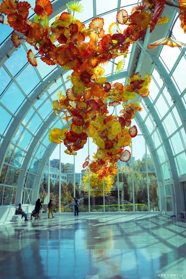 Seattle Itinerary for 7 Days : Ultimate Seattle Travel Guide - Trip.com