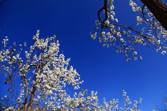Jinchuan 2022 Top Things to Do - Jinchuan Travel Guides - Top ...