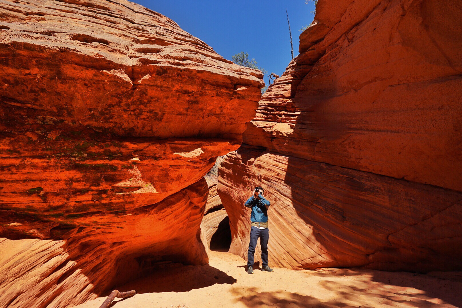 Kane County 2022 Top Things to Do - Kane County Travel Guides - Top ...