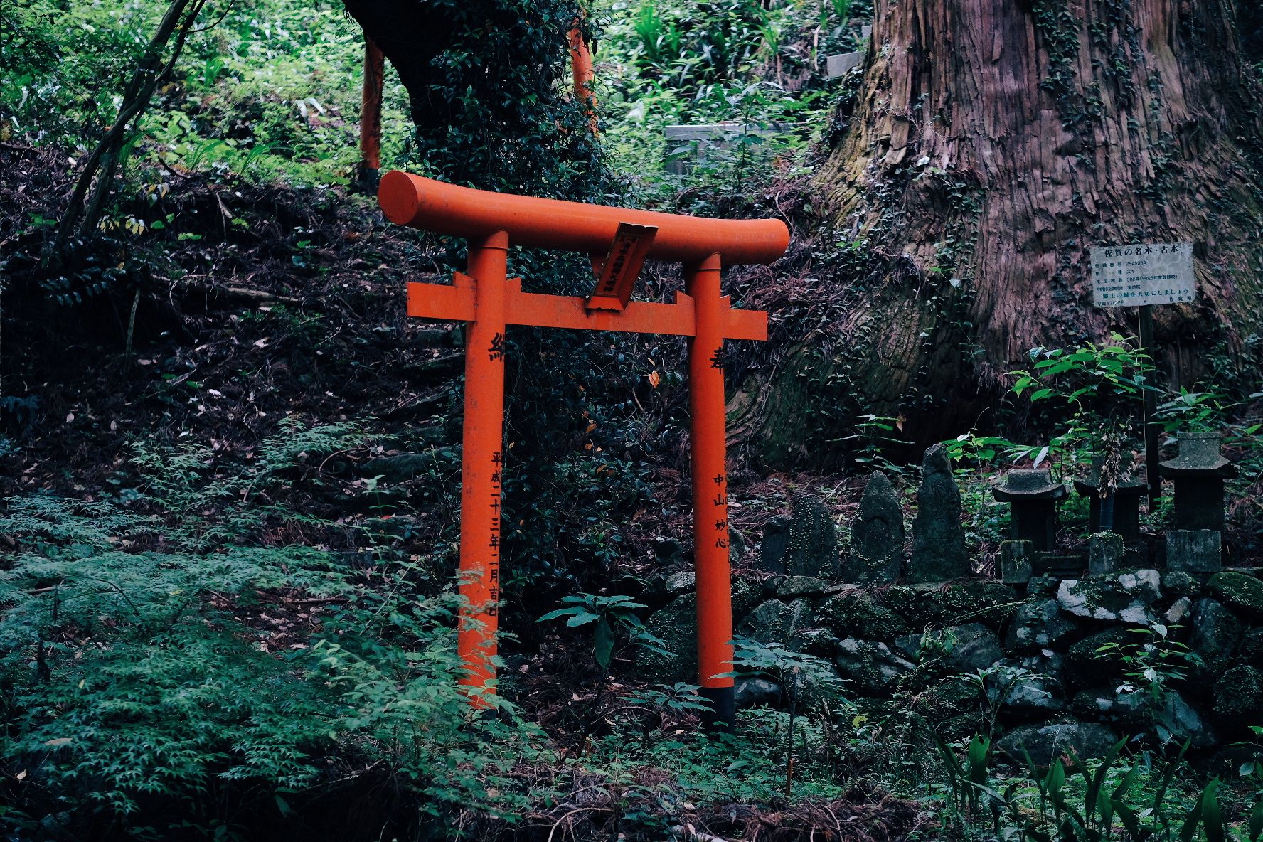 Ogi 2022 Top Things to Do - Ogi Travel Guides - Top Recommended Ogi ...