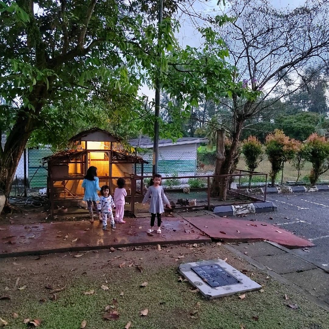 Morib 2022 Top Things to Do - Morib Travel Guides - Top Recommended ...