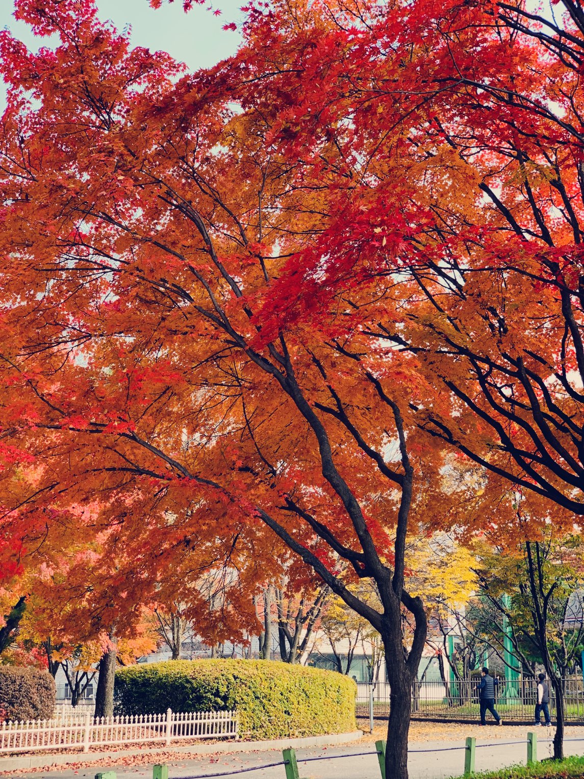 Paju-si 2022 Top Things to Do - Paju-si Travel Guides - Top Recommended ...