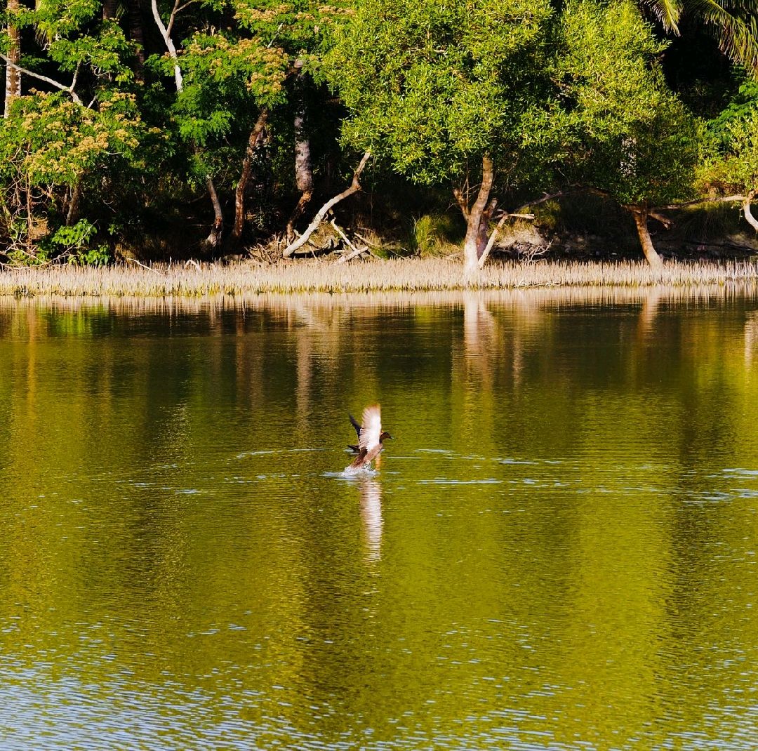 Ragay 2022 Top Things to Do - Ragay Travel Guides - Top Recommended ...