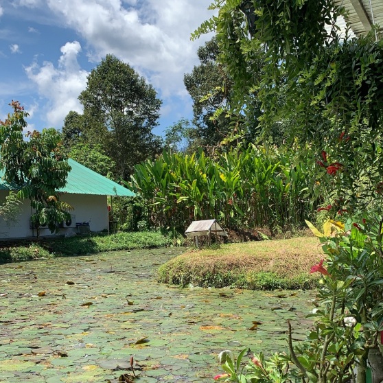 Hulu Yam 2022 Top Things to Do - Hulu Yam Travel Guides - Top ...