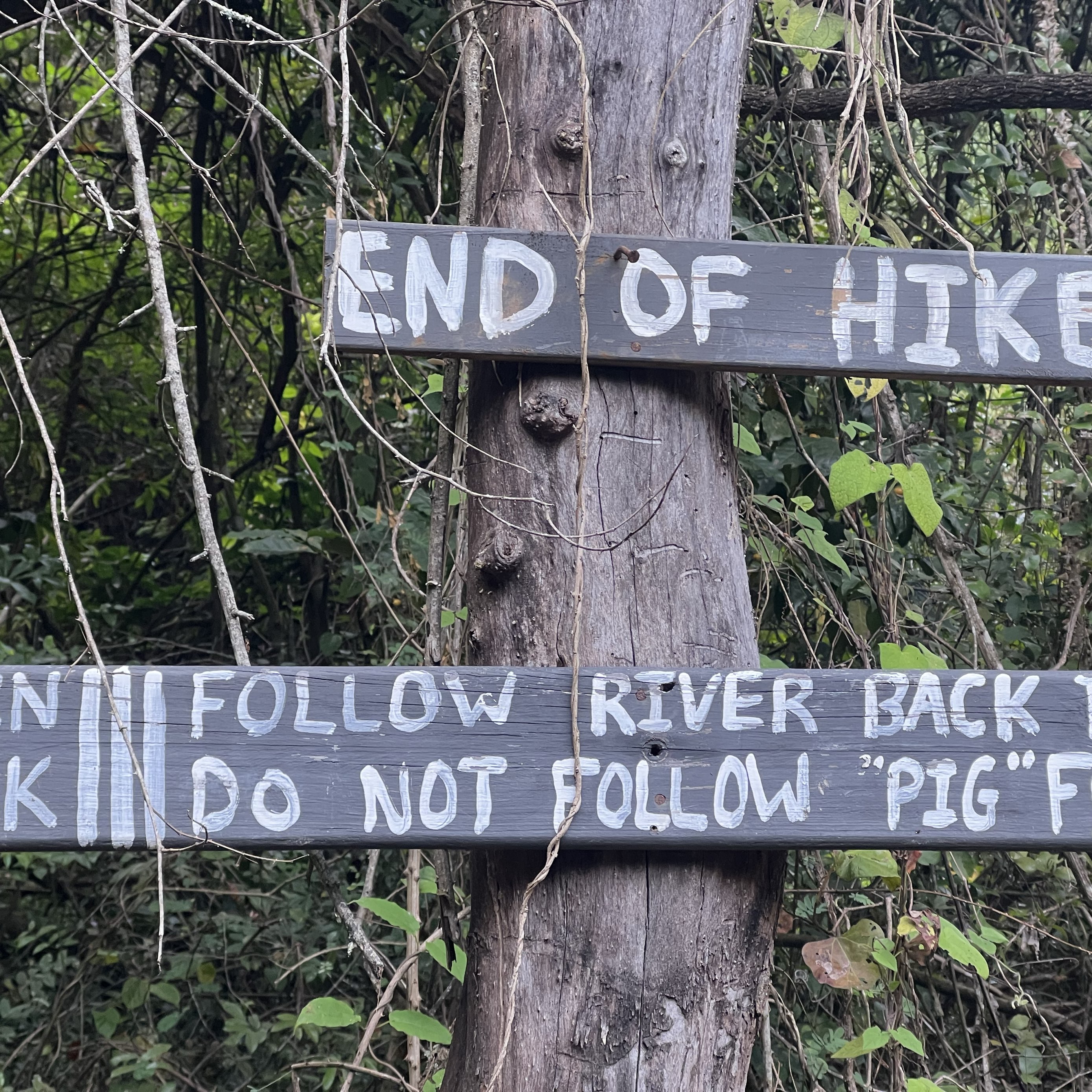 Ehlanzeni 2022 Top Things to Do - Ehlanzeni Travel Guides - Top ...