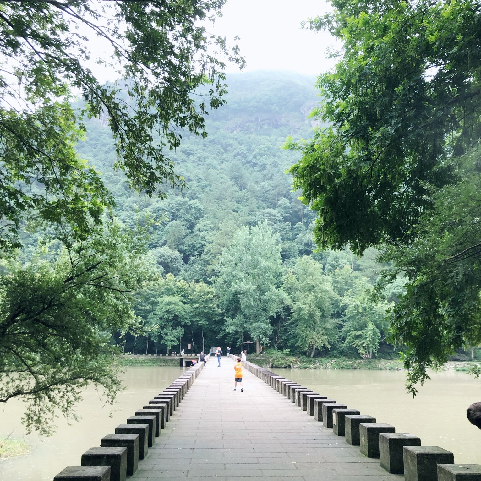 Jinyun 2022 Top Things to Do - Jinyun Travel Guides - Top Recommended ...