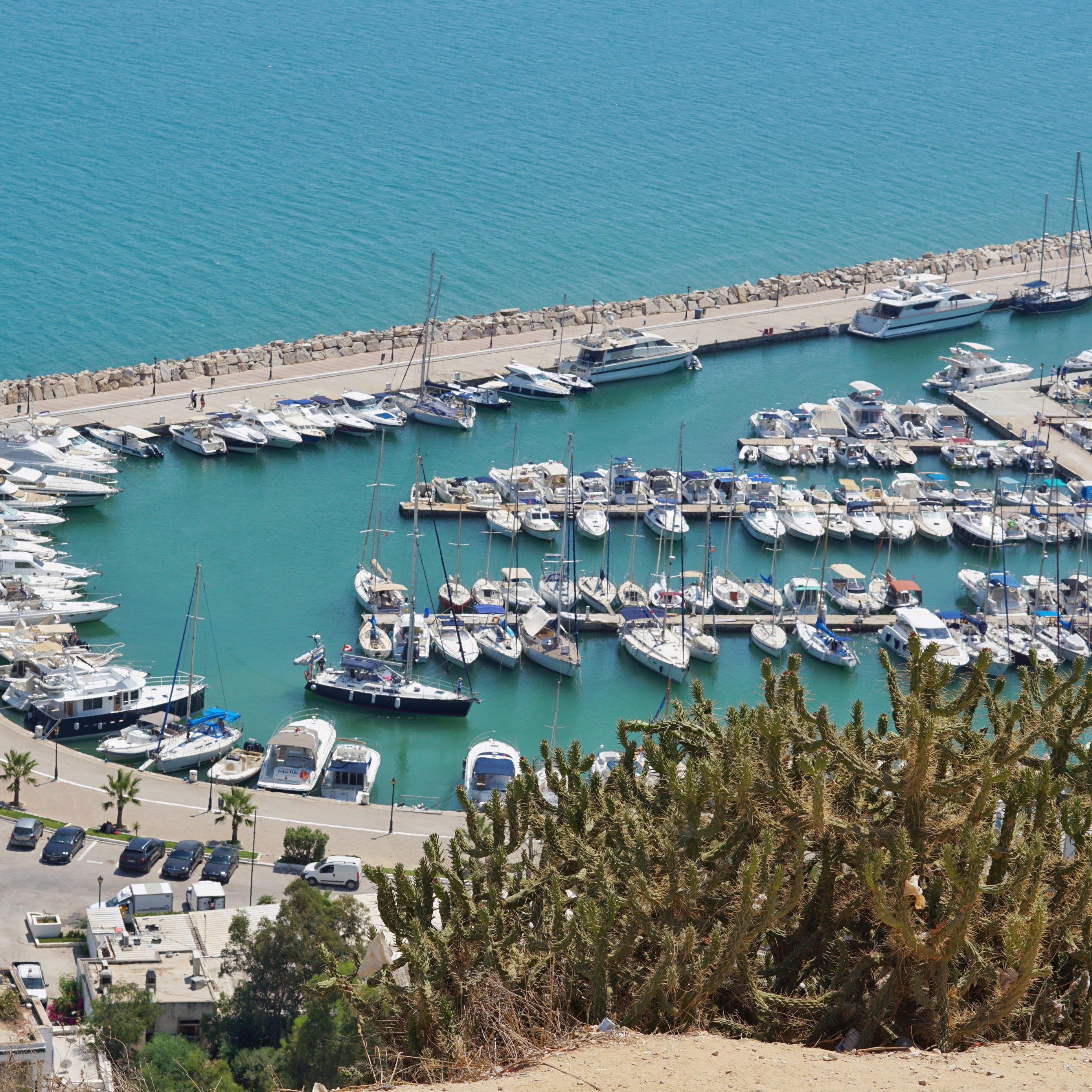 Carthage 2022 Top Things to Do - Carthage Travel Guides - Top ...