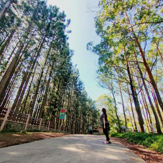 Manolo Fortich 2022 Top Things to Do - Manolo Fortich Travel Guides ...