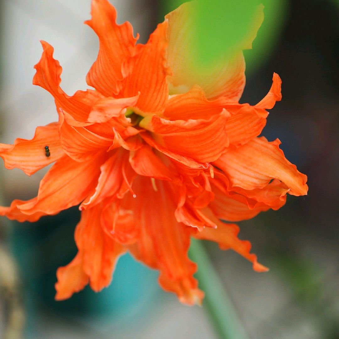 Bicol 2022 Top Things to Do - Bicol Travel Guides - Top Recommended ...