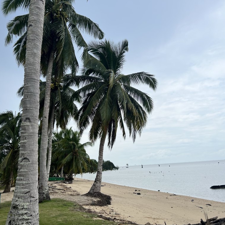 Tawau 2022 Top Things to Do - Tawau Travel Guides - Top Recommended ...