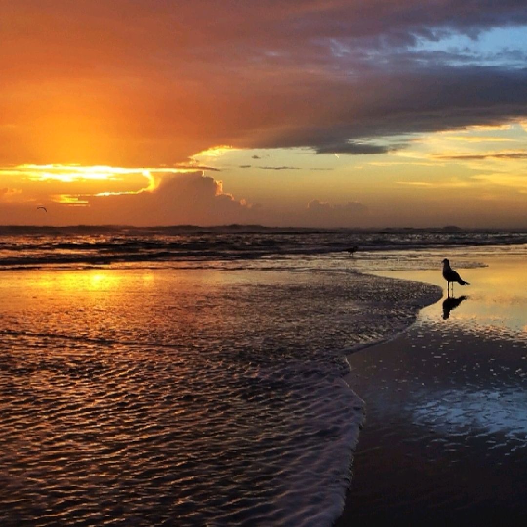 Volusia County 2022 Top Things to Do - Volusia County Travel Guides ...