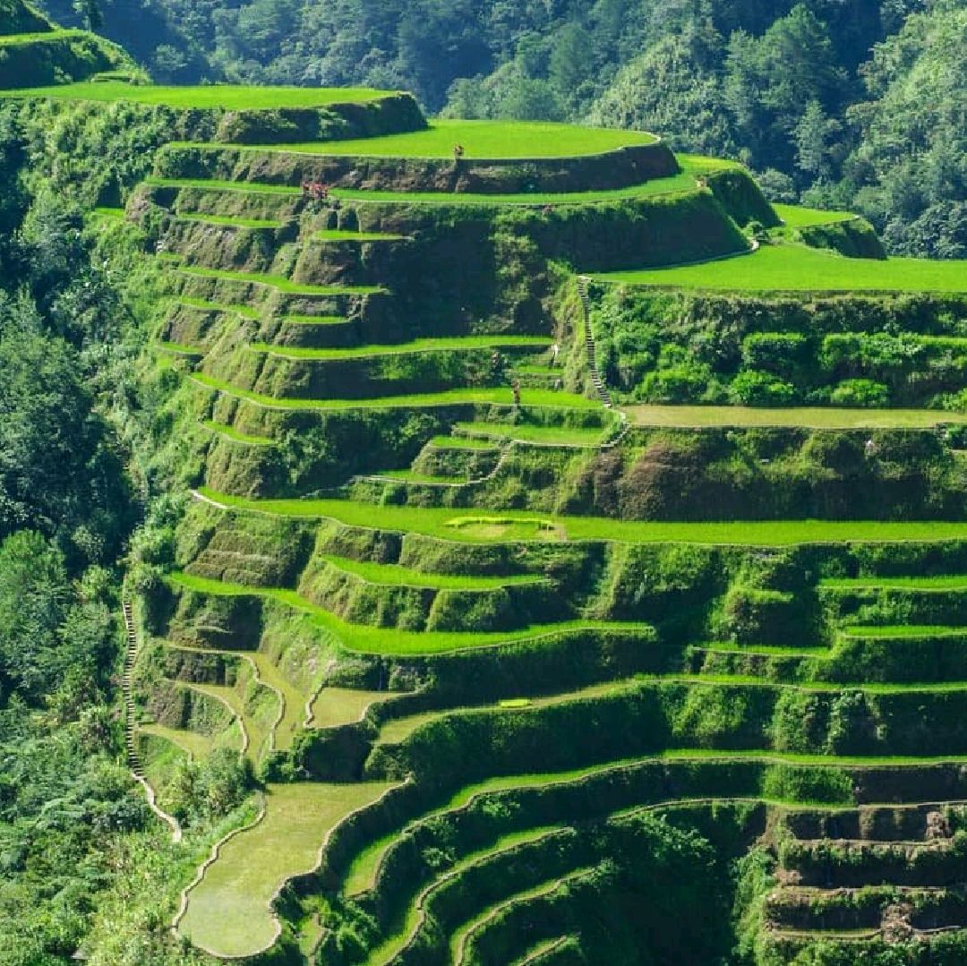 Ifugao 2022 Top Things to Do - Ifugao Travel Guides - Top Recommended ...