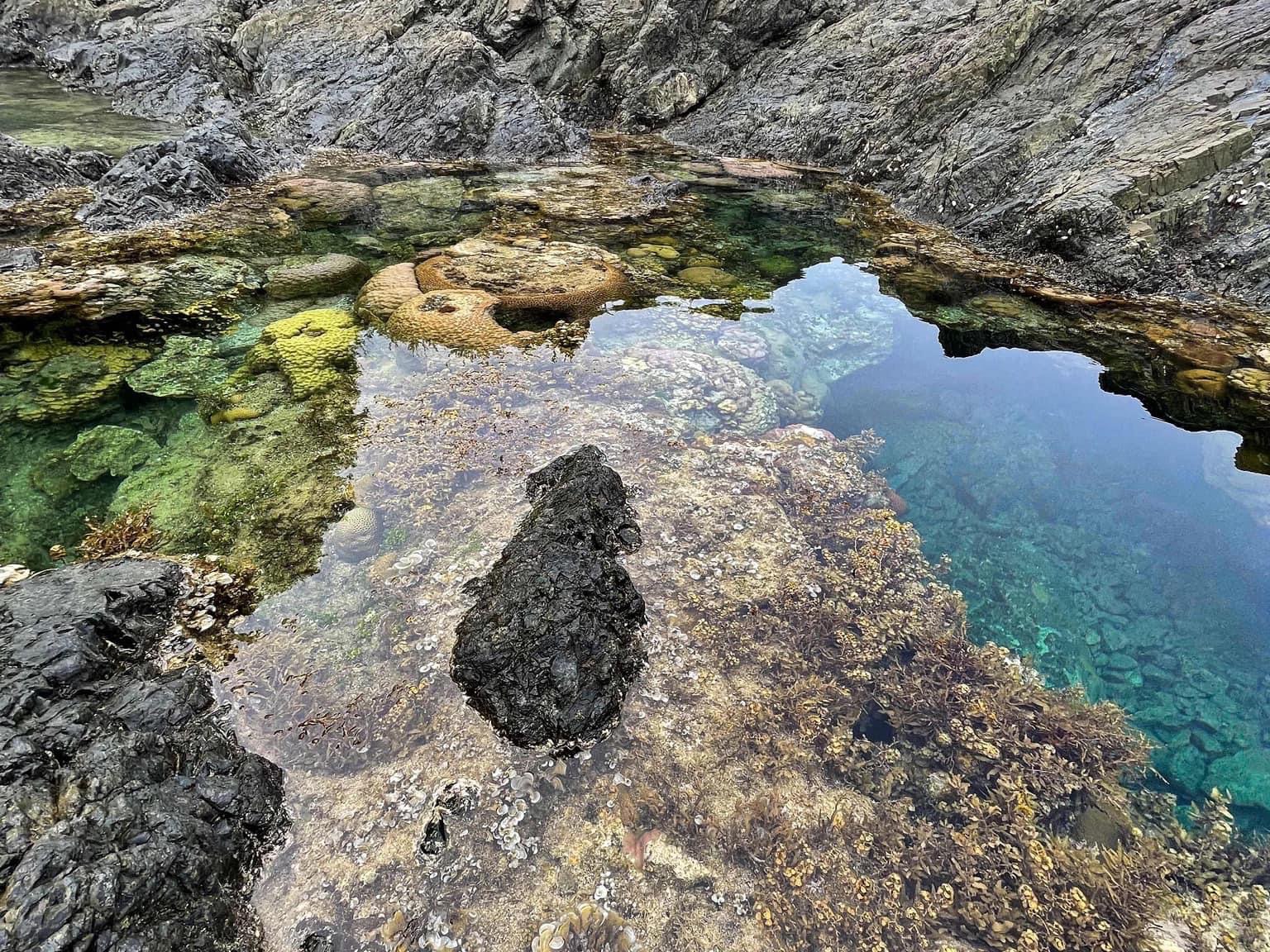 Bicol 2022 Top Things to Do - Bicol Travel Guides - Top Recommended ...