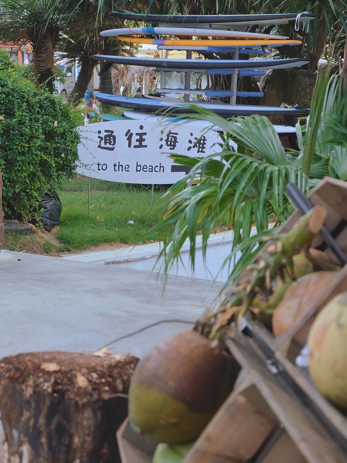 Wanning 2022 Top Things to Do - Wanning Travel Guides - Top Recommended ...