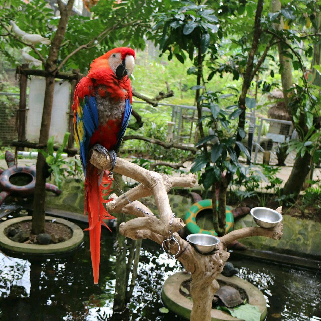 West Bandung Regency 2022 Top Things to Do - West Bandung Regency ...