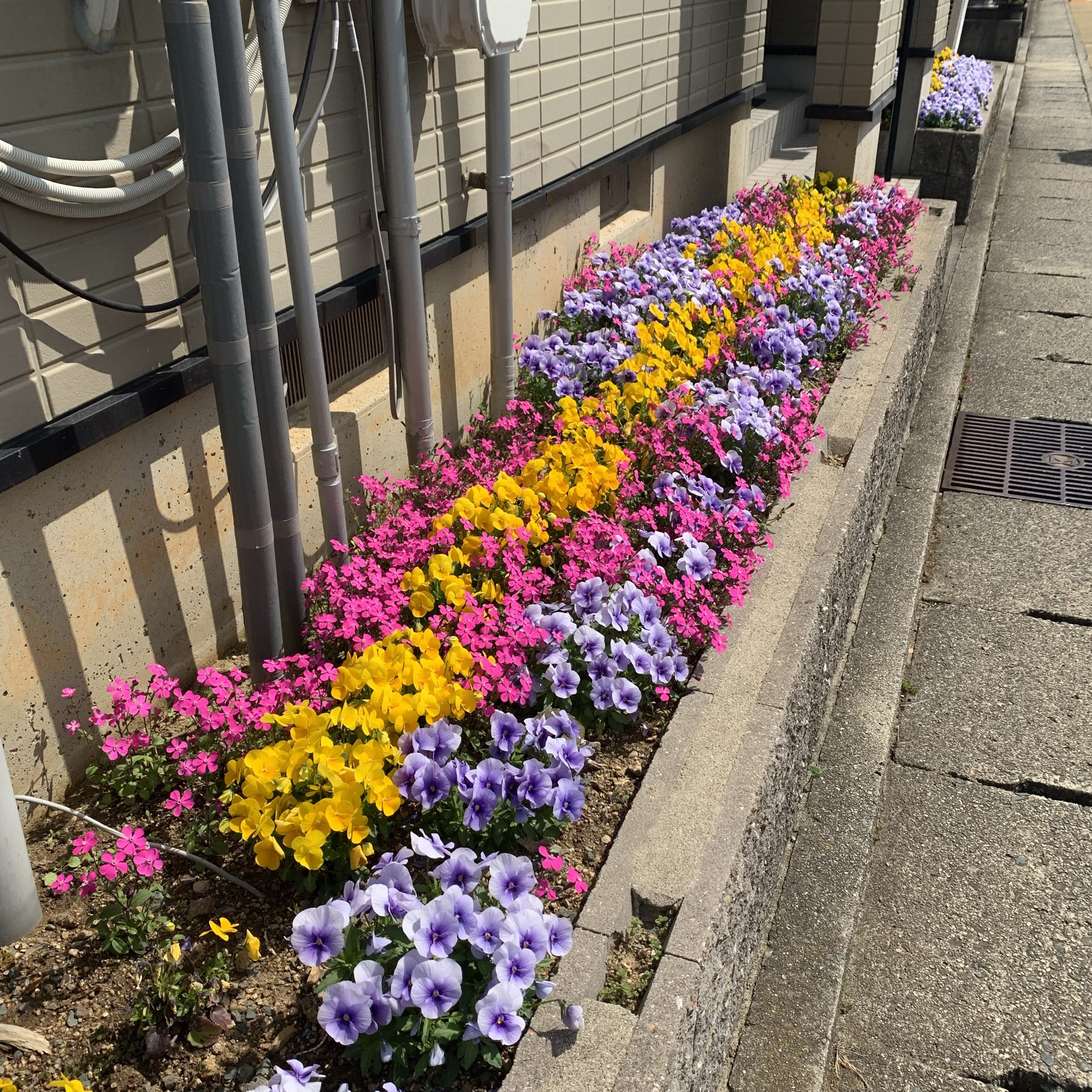 Toyohashi 2022 Top Things to Do - Toyohashi Travel Guides - Top ...