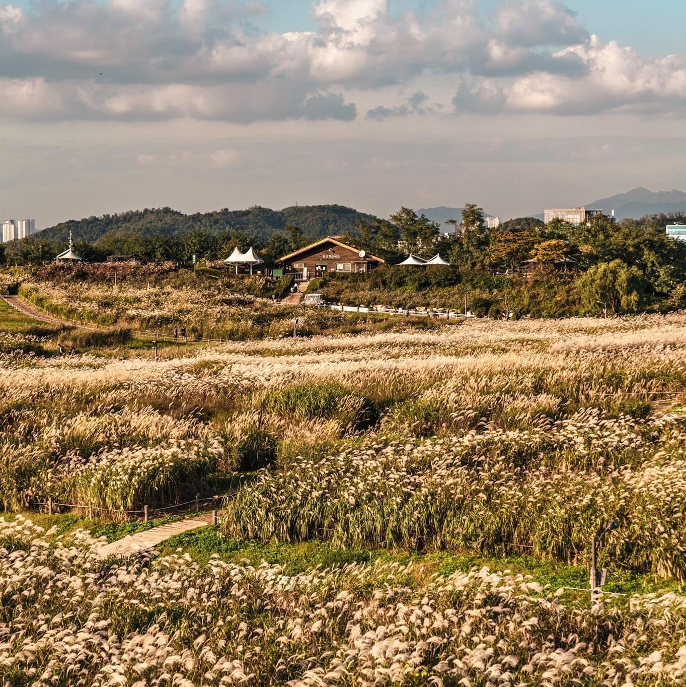 Suwon 2022 Top Things to Do - Suwon Travel Guides - Top Recommended ...