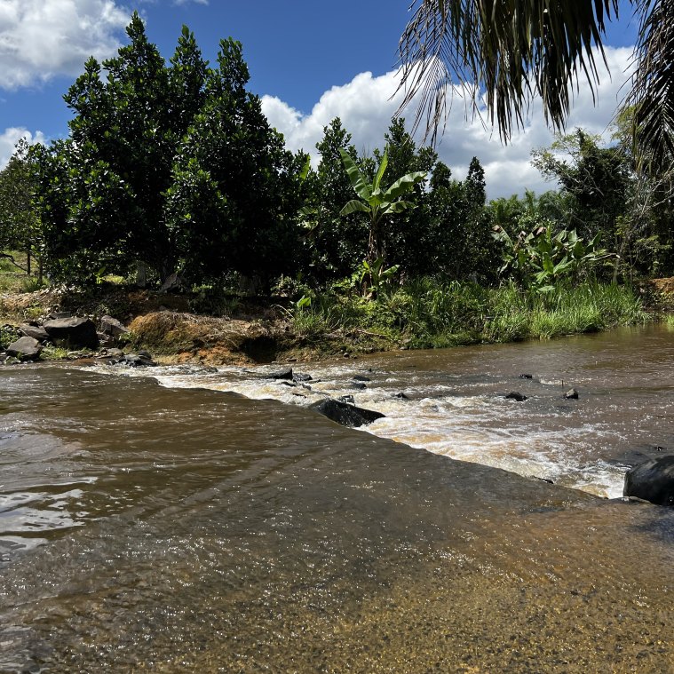 Tawau 2022 Top Things to Do - Tawau Travel Guides - Top Recommended ...