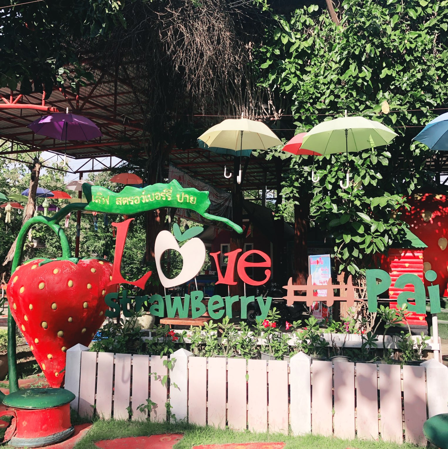 Pai 2022 Top Things to Do - Pai Travel Guides - Top Recommended Pai ...